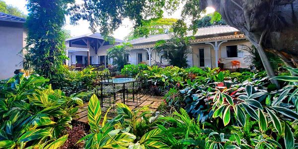 Tree Lodge - Ile Maurice | Expériences exclusives dans des Cabanes en ...