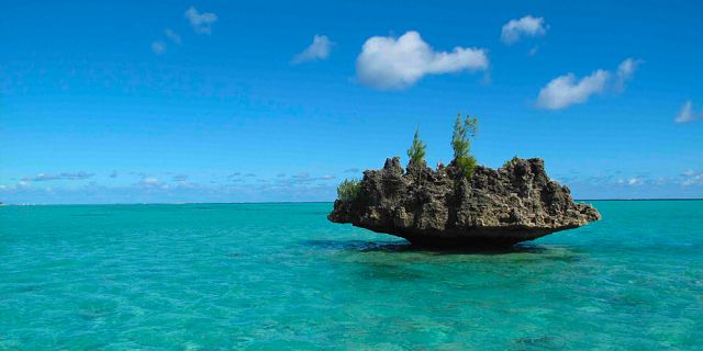 Sud de Maurice - Visite des parcs d'attractions et activités - Vacances ...