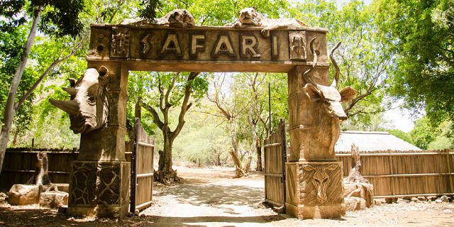 Nourrir des Animaux au Casela Nature Parks - Vacances Maurice