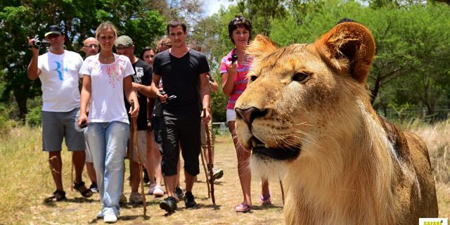 Nourrir des Animaux au Casela Nature Parks - Vacances Maurice
