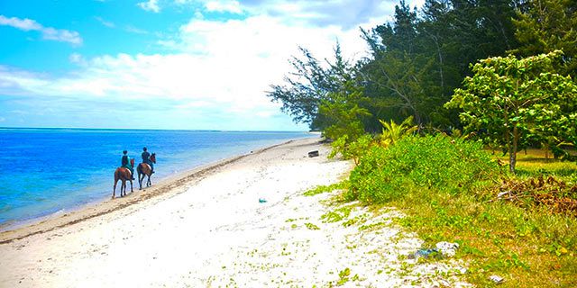 Balade à Cheval : Plage & Nature dans le Sud de l'île Maurice ...