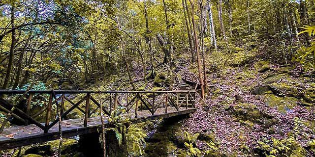 Visite Guidée du Ferney Conservation Park - Vacances Maurice