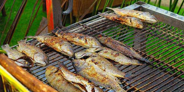 Visite d’une réserve naturelle à Rodrigues et déjeuner - Vacances Maurice