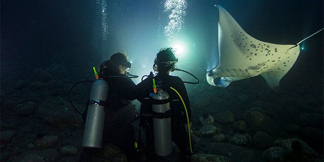Night Dive on The West Coast of Mauritius - Vacances Maurice