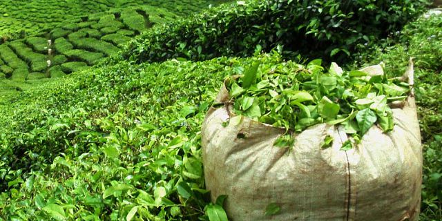 Tour du Sud de l'île Maurice - Vacances Maurice