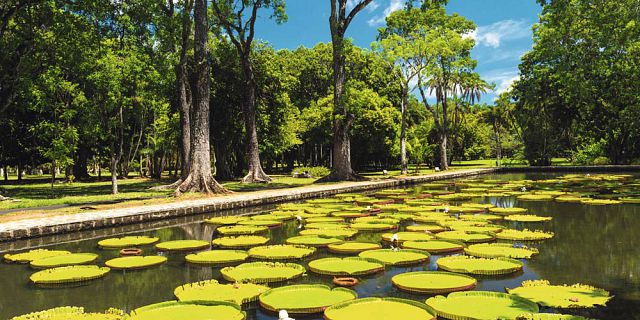 Jardin Botanique de l’Ile Maurice - Vacances Maurice
