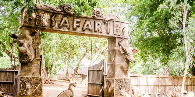 Interactions avec les Grands Félins au Casela Nature Parks - Vacances ...