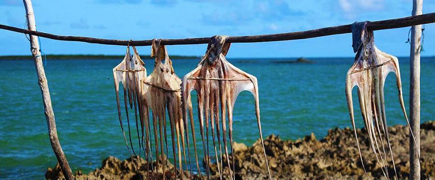 Rodrigues – La Culture Unique d'Une Île - Vacances Maurice