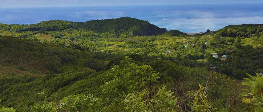 Faune Et Flore riches et Abondant de l'Île Rodrigues. - Vacances Maurice